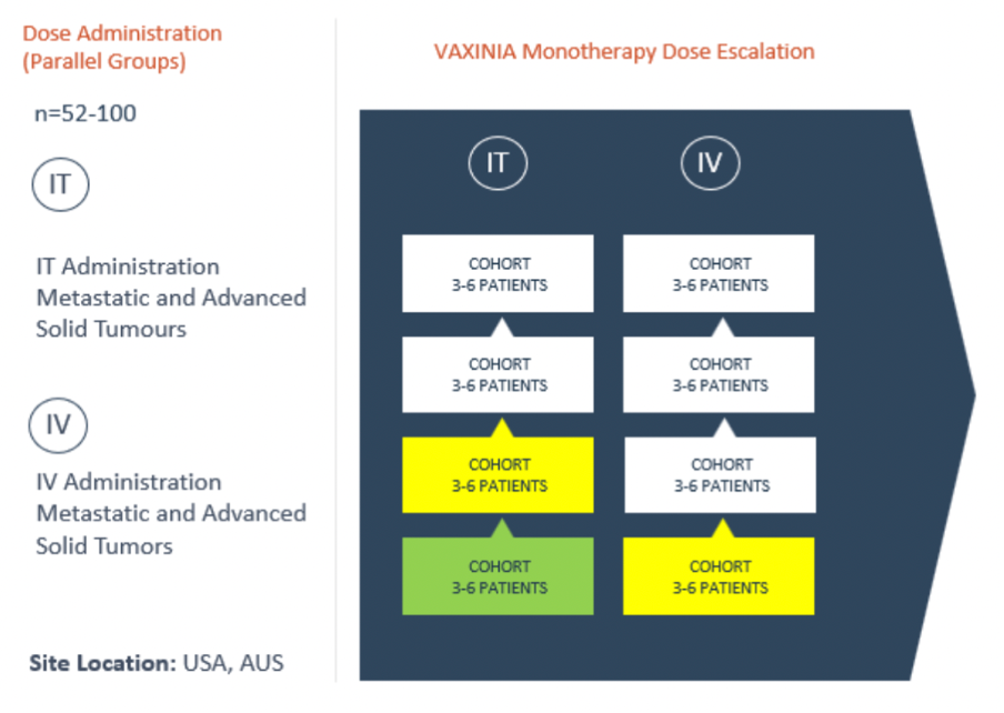 Imugene reaches new dosing milestone in Phase 1 VAXINIA trial | ASX:IMU ...