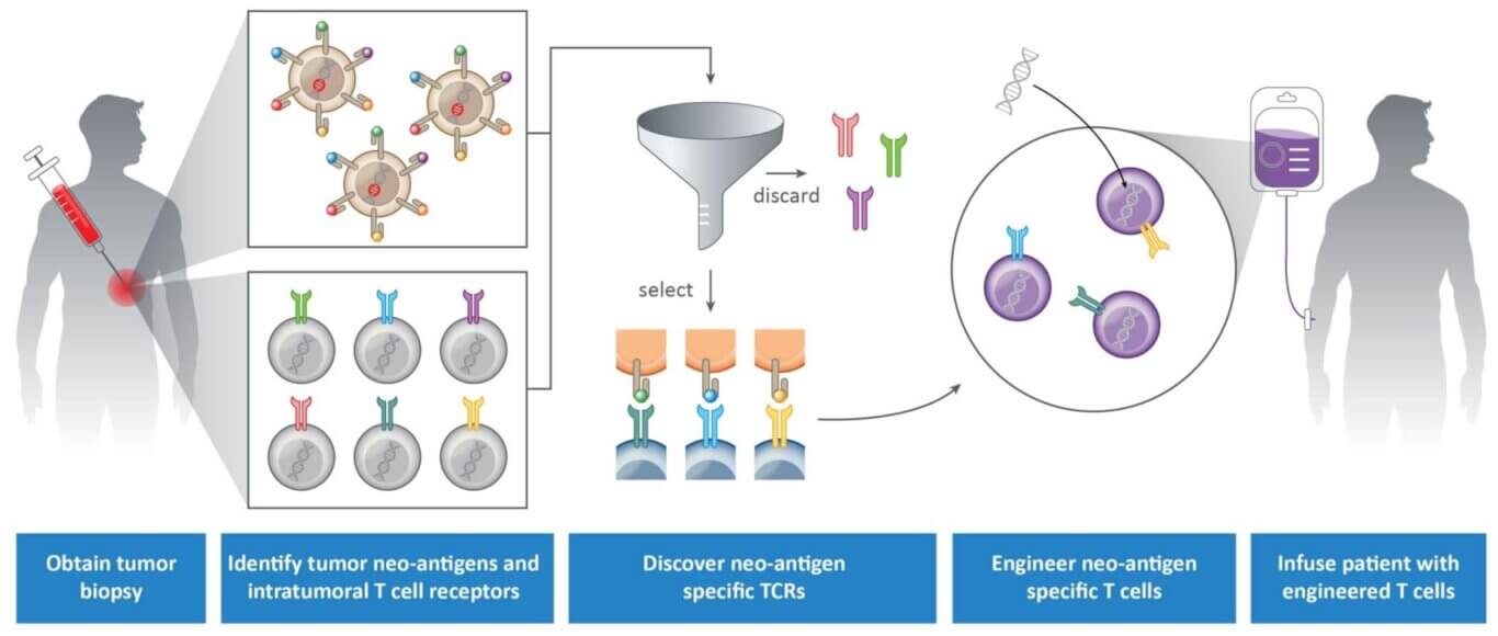 AstraZeneca adds focus on personalised cancer cell therapy with US ...