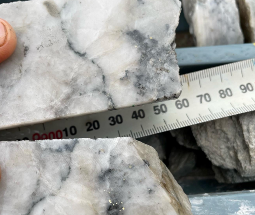 Great Boulder Resources notes visible gold in diamond core from Mulga ...