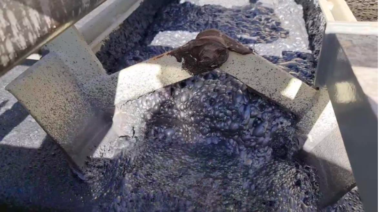 Galena Mining reaches first production milestone at Abra Base Metals ...