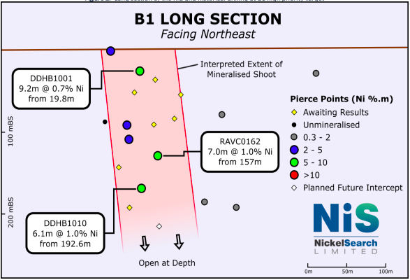 NickelSearch intercepts nickel sulphides in maiden B1 target drilling ...