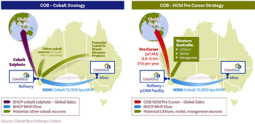 Cobalt Blue adapts commercial strategy in line with evolving Western ...