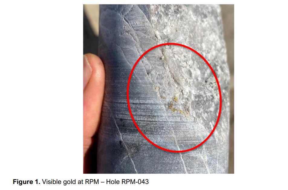 Nova Minerals discovers visible gold at Estelle Gold Project’s RPM ...