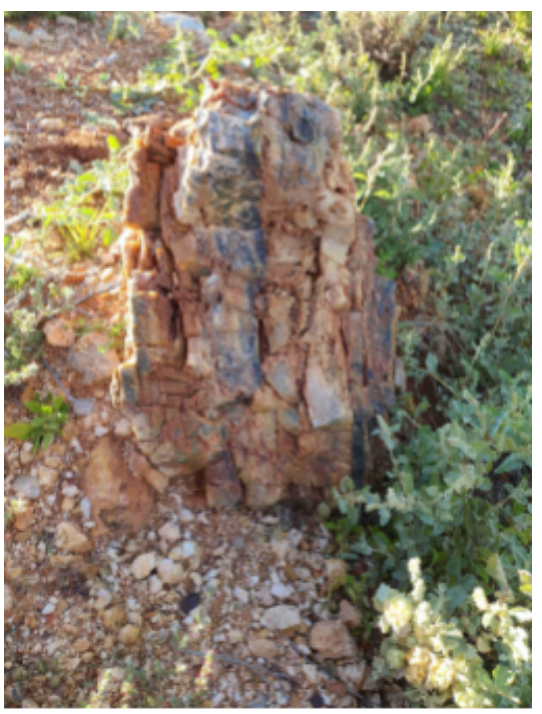 Tempest Minerals uncovers anomalous gold at Range Project | ASX:TEM