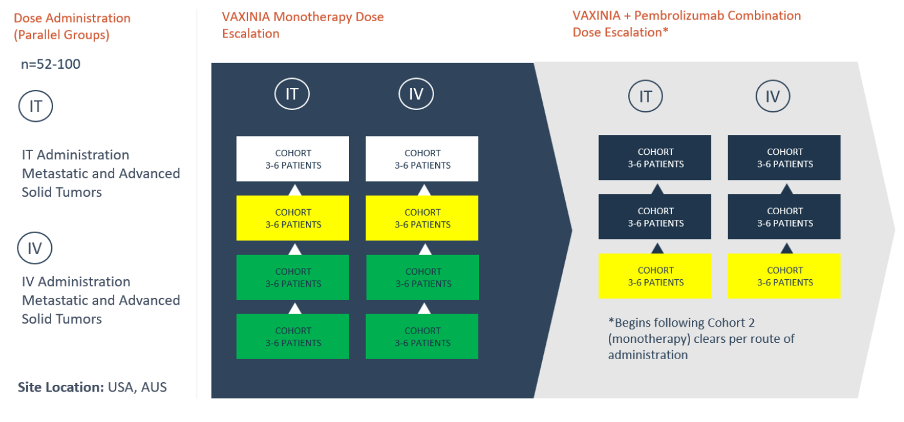 Imugene advances to cohort three of VAXINIA monotherapy dose escalation ...