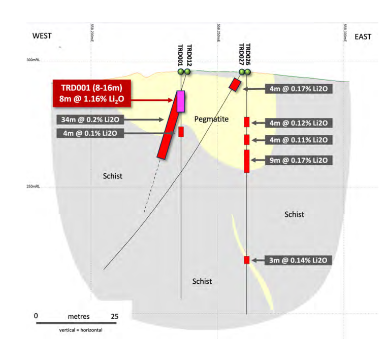Stelar Metals exploration propelled by high-grade lithium hit in first ...