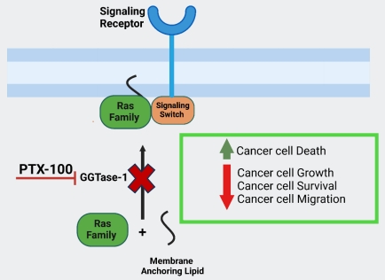 Prescient Therapeutics: Advancing cancer treatment with PTX-100 and ...