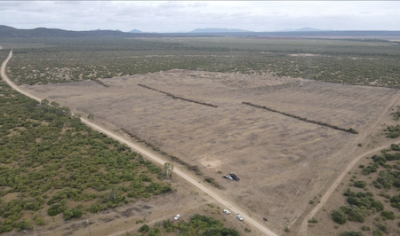 NoviqTech starts harvesting and pyrolysis trial at Great Barrier Reef ...