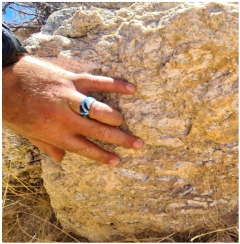 Askari Metals trenching confirms extensive polymetallic mineralisation ...