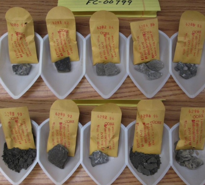 Anson Resources to test historic diamond core and cuttings with aim to ...