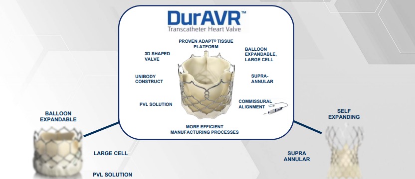 Anteris Technologies’ DurAVR heart valve tech featured at major medical ...