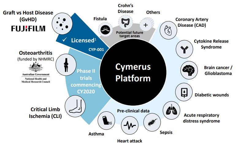 Cynata Therapeutics to talk stem cell therapies at Proactive’s CEO ...