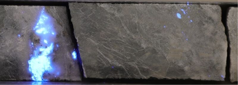 Kin Mining expands Mt Flora discovery with high-grade gold results from ...