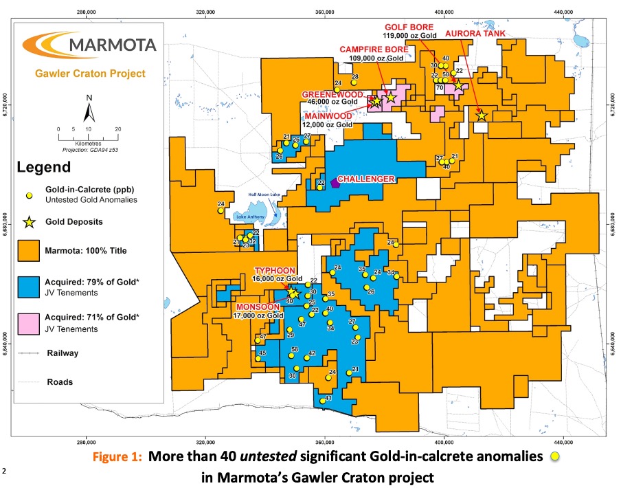 Marmota may be sitting on a gold mine thanks to more than 40 untested ...