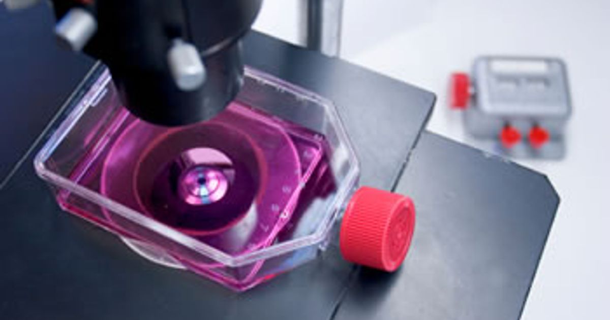 ReNeuron sticks to timeline after impressive progress | LON:RENE