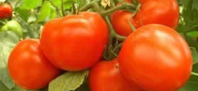 Obtala makes significant progress | LON:WBI