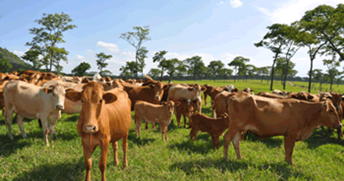 Agriterra looks forward to sustainable profits | LON:AGTA