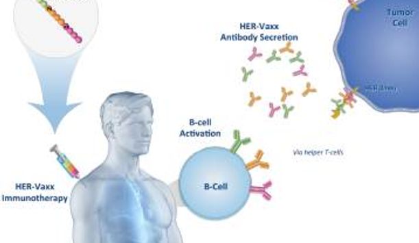 Imugene issuing 5 million options to non-executive director Dr Axel ...