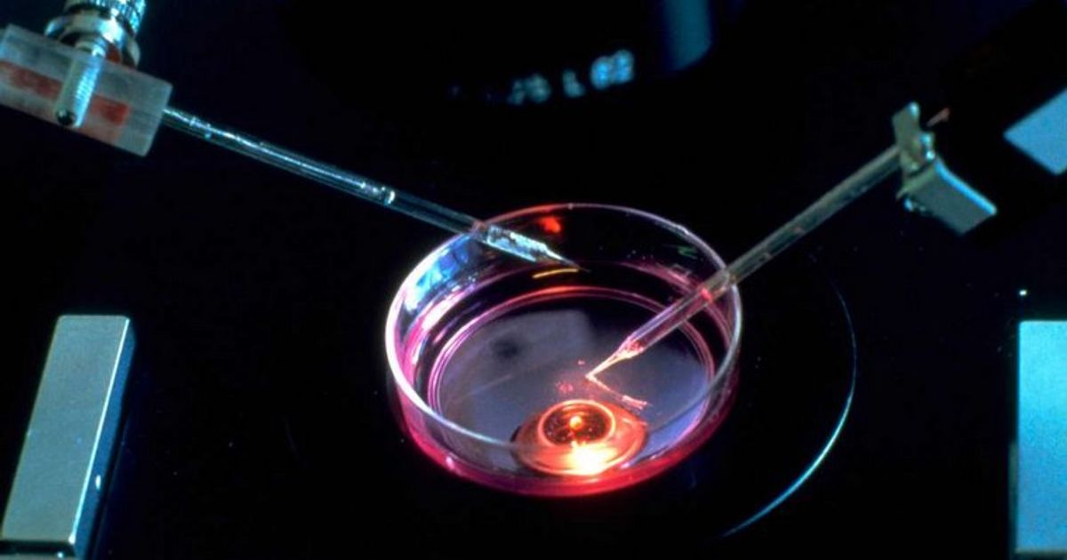 BATM Advanced Communications expands medical diagnostic business with ...