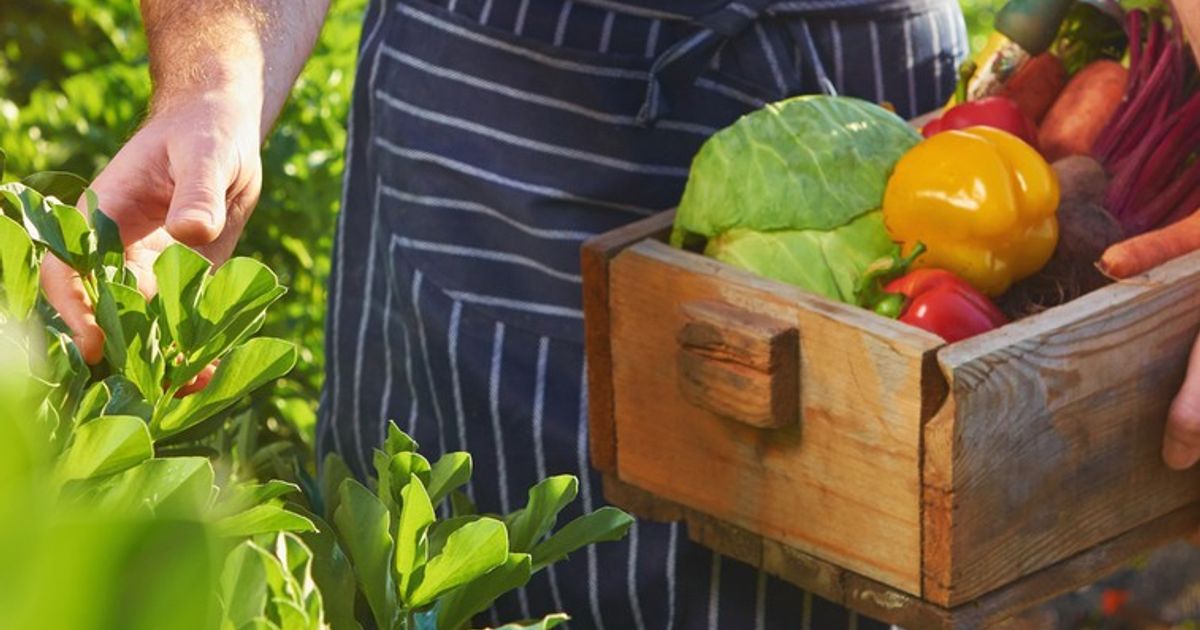 African Potash announces new joint venture for Republic of Congo | AQSE ...