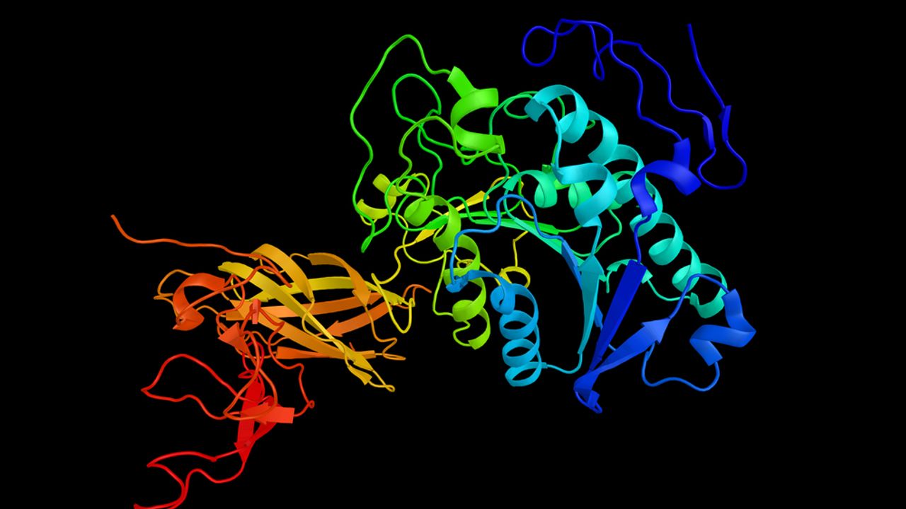 Avacta rises as it secures licensing deal with New England Biolabs for ...