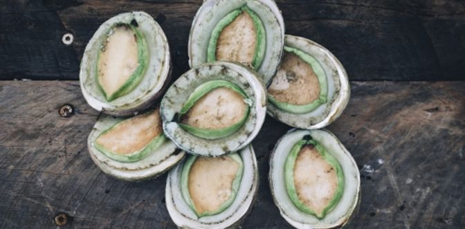 Ocean Grown Abalone wins multi-million dollar greenlip abalone order ...