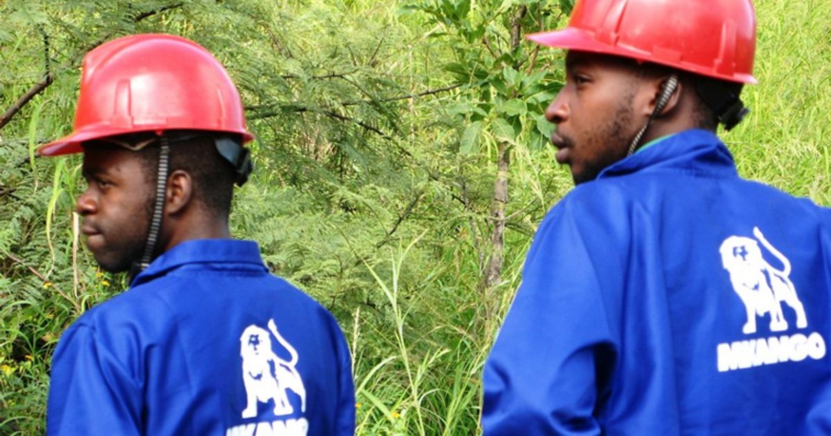 Mkango Resources gets licence extension for Malawi project | AIM:MKA ...