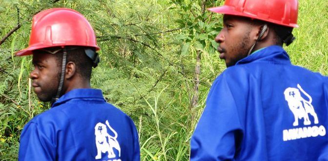 Mkango Resources Ltd gets licence extension for Malawi project