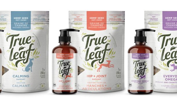 True Leaf Medicine changes name to True Leaf Brands | CSE:MJ, OTC:TRLFF