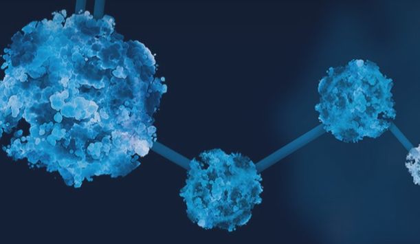 Tissue Regenix develops product extension to be used in female pelvic ...