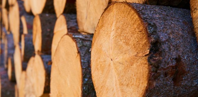 Woodbois Limited higher as it inks offtake agreement for Liberian ...