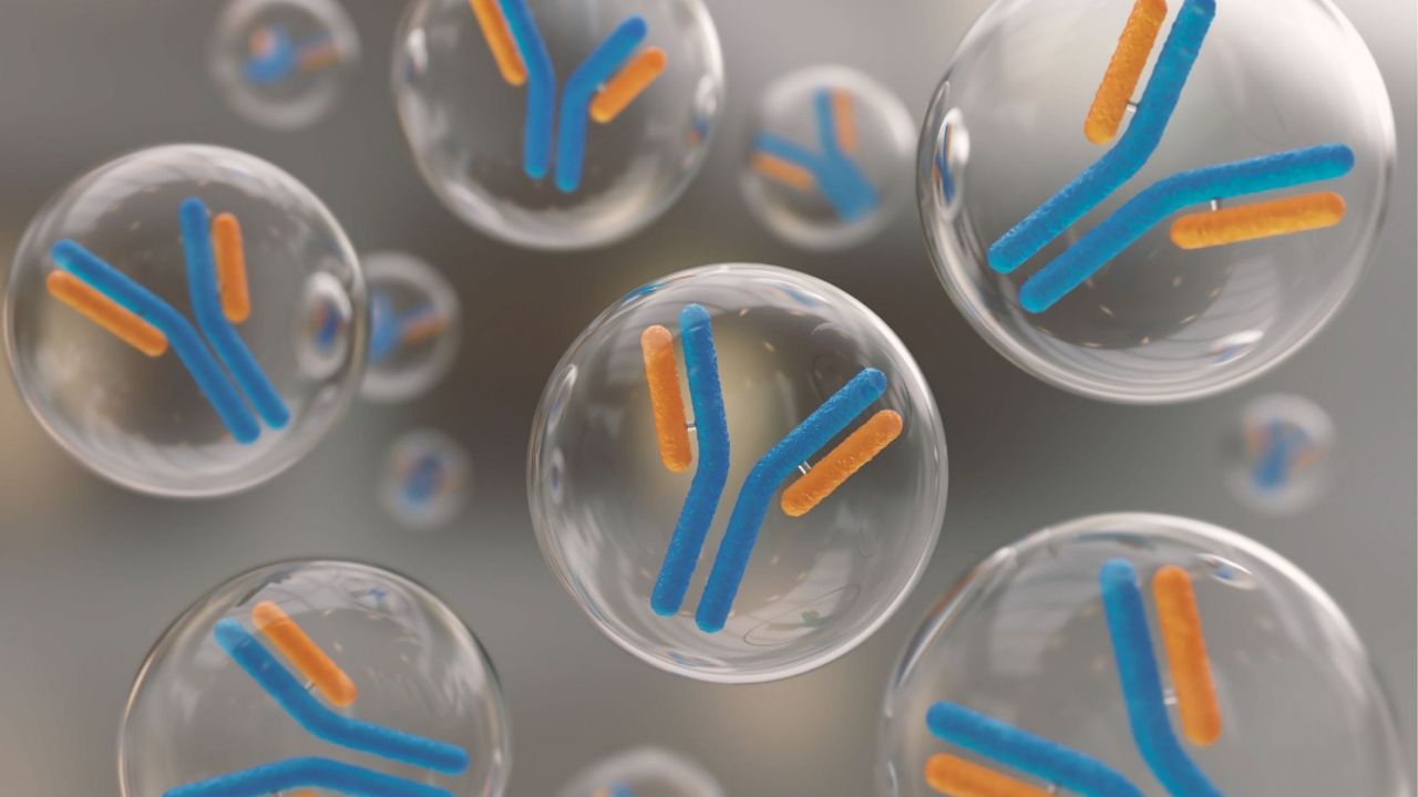 Patrys receives positive preclinical data for deoxymabs in vasculitis ...