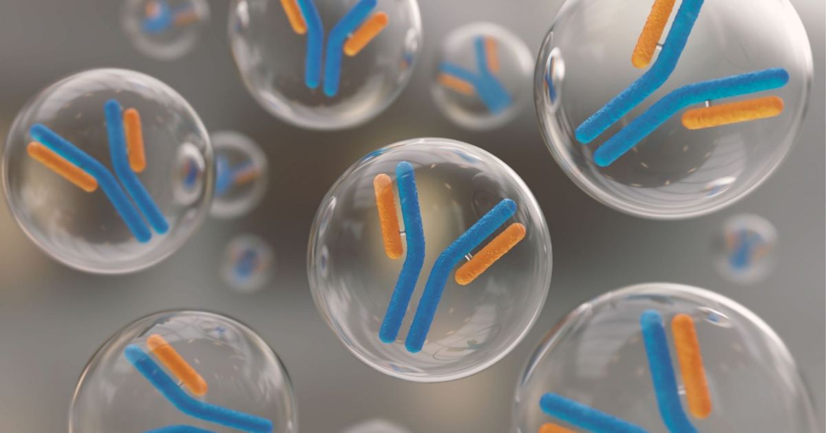 Patrys receives positive preclinical data for deoxymabs in vasculitis ...