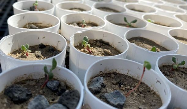 Ioneer closer to construction of Rhyolite Ridge Lithium-Boron Mine ...