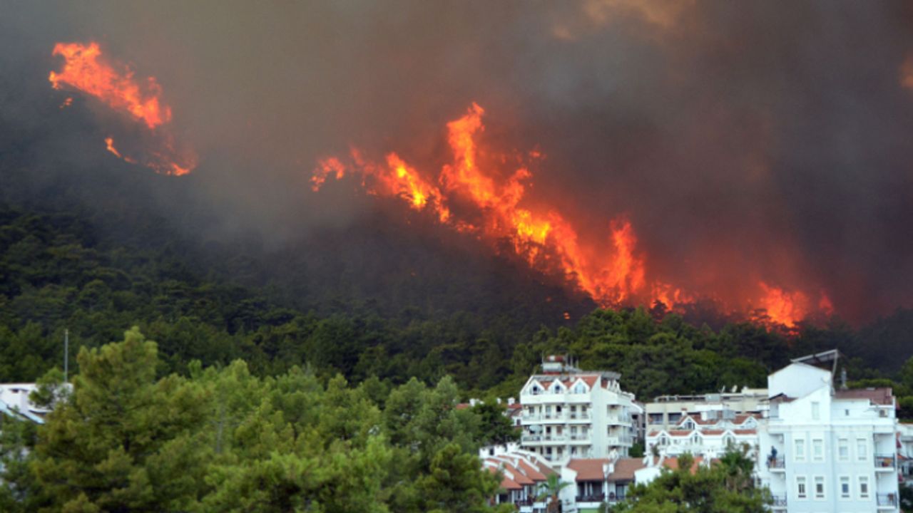 Alphabet's moonshot factory launches AI tool to detect wildfires before ...