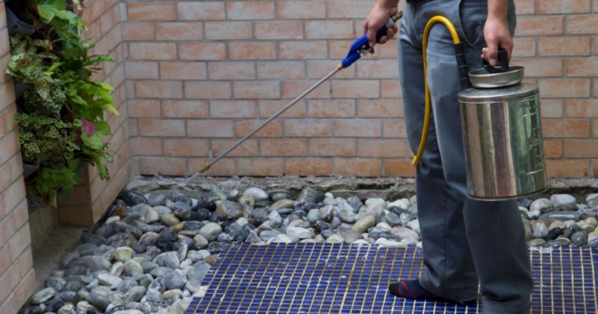 Rentokil first quarter awaited keenly at start of key year | LSE:RTO