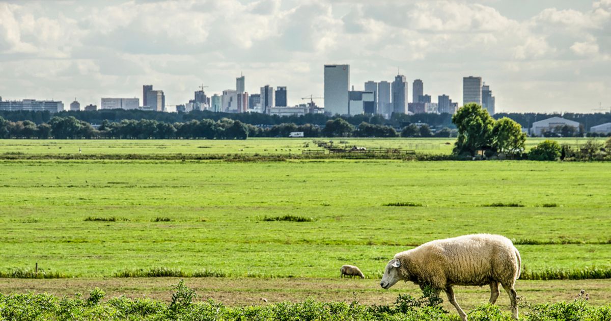 Nature depletion is slowing the UK economy and poses major risks ...