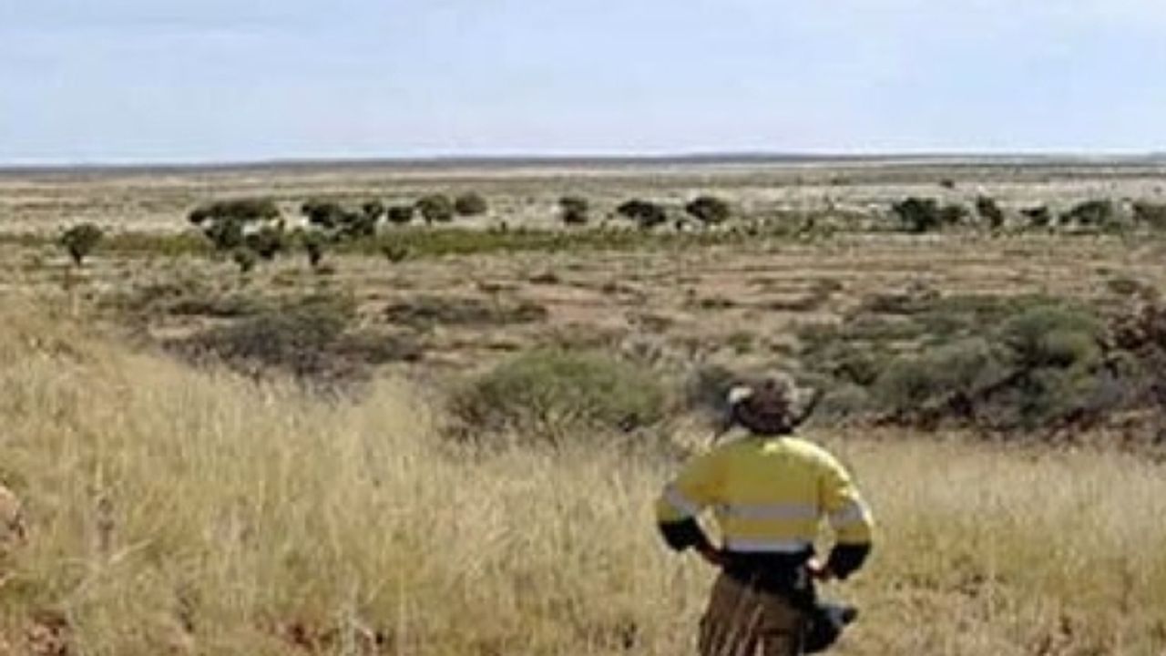 Antipa Minerals has great start to 2024 drilling at Minyari Dome Gold ...