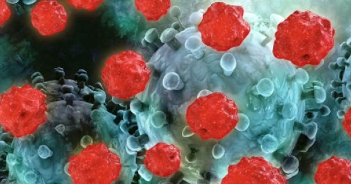 Race Oncology's breakthrough in cancer cell treatment | ASX:RAC, OTC:RAONF