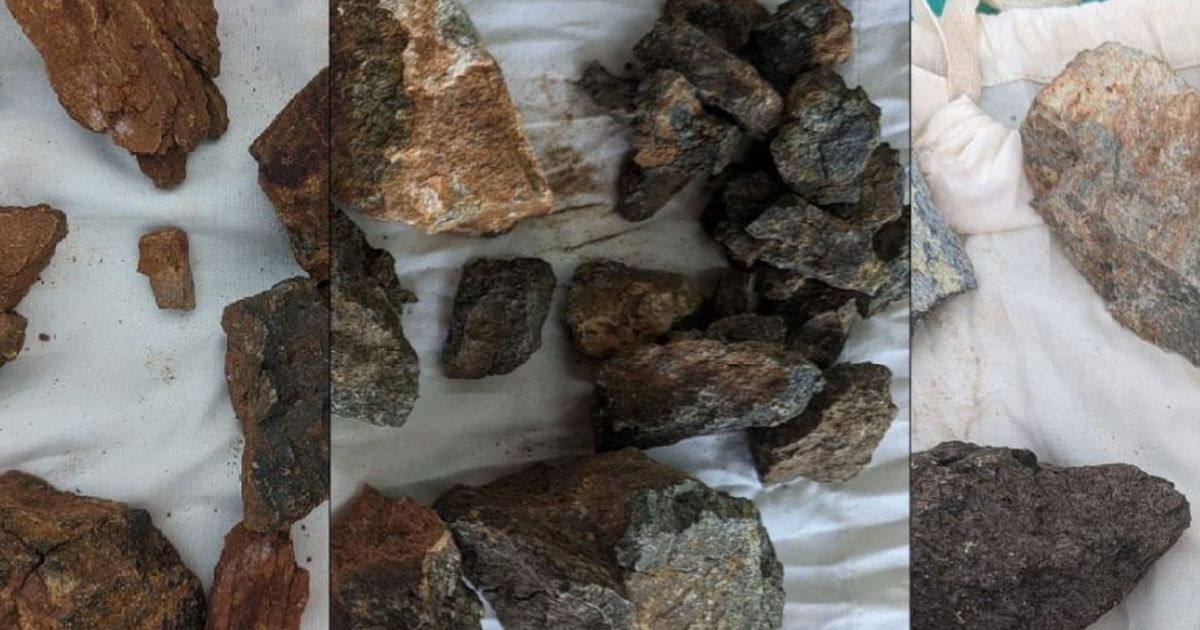Maximus Resources delivers rock chip samples of up to 9.8 g/t gold from ...