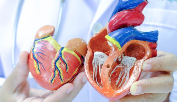 Anteris Technologies successfully treats patient with third valve ...