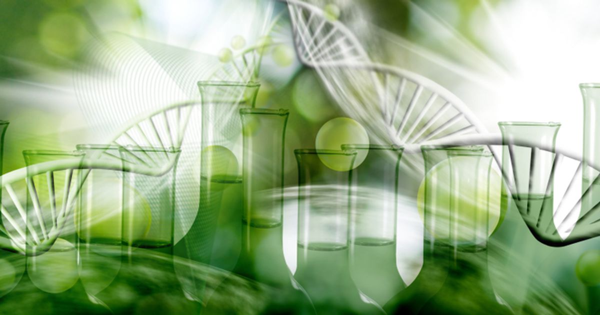 Recce Pharmaceuticals doses first participants in next cohort Phase I ...