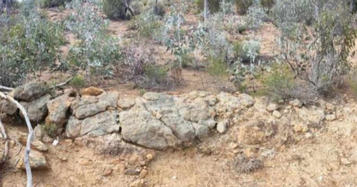 CuFe discovers 47.1% niobium and 9.01% tantalum in rock chip sample ...