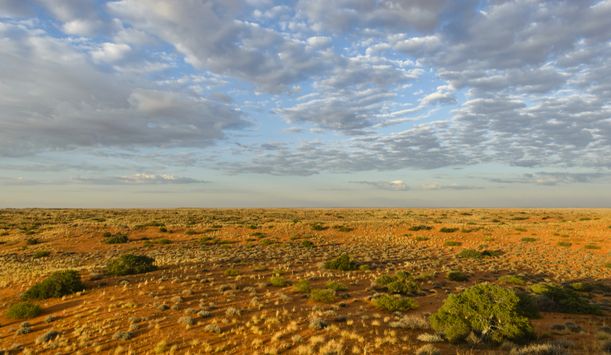 Cobre begins "groundbreaking", large-scale seismic survey in Kalahari ...