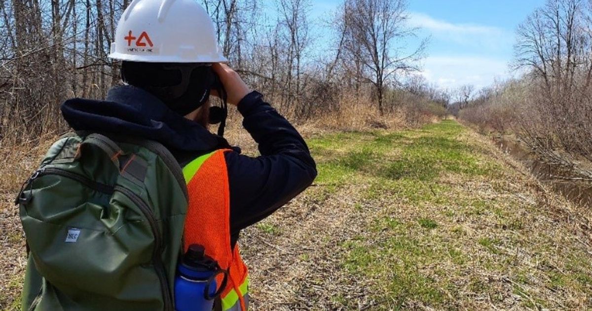 Lithium Universe completes two environmental field studies at Bécancour ...