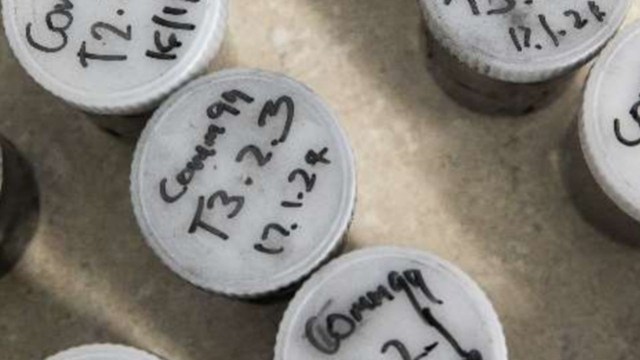 International Graphite nears integrated graphite production as ...