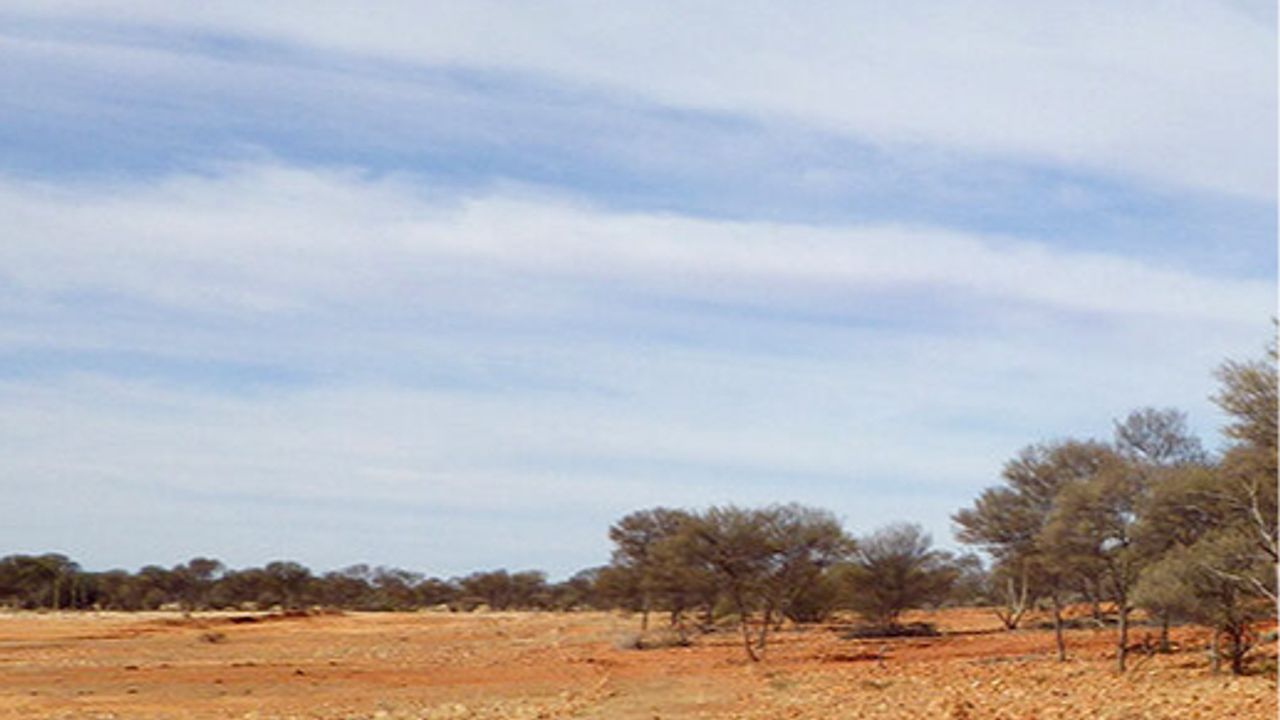 Strickland Metals new assays support emerging large-scale gold project ...