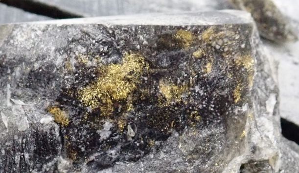 Landore shares soar as Portuguese multinational buys in | AIM:LND