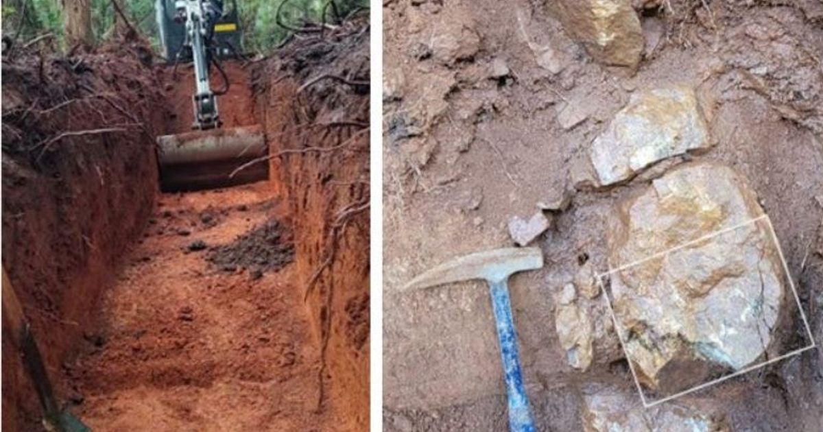 Flynn Gold hits 99.4 g/t gold in rock chip samples at new high-grade ...