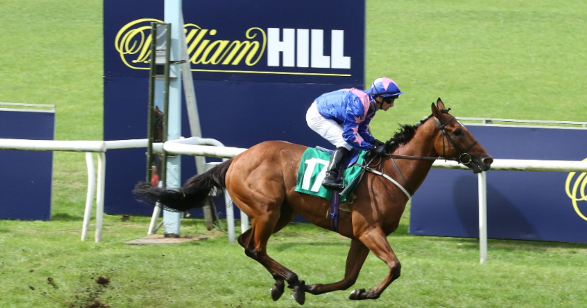 William Hill owner Evoke’s losses escalate | LSE:EVOK